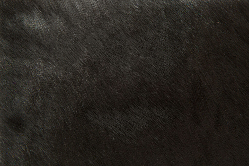 Deep Chestnut - Whistler Leather