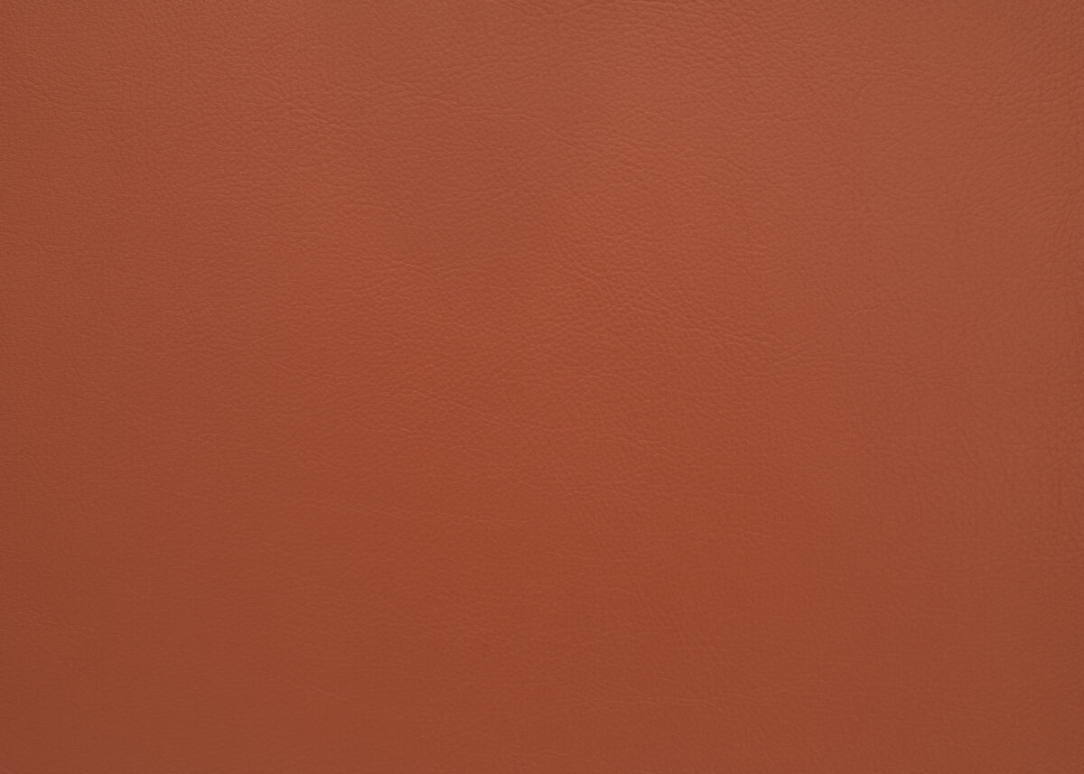 Paret - Whistler Leather