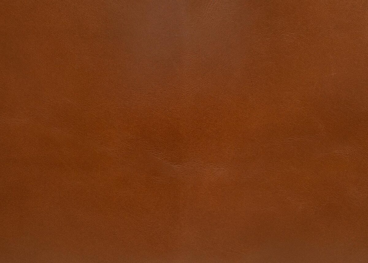 Alsatian - Whistler Leather