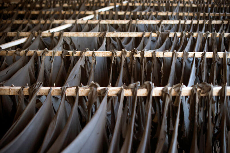 How leather is made | The Craft | Whistler Leather | London