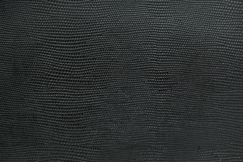 Iguana Archives - Whistler Leather