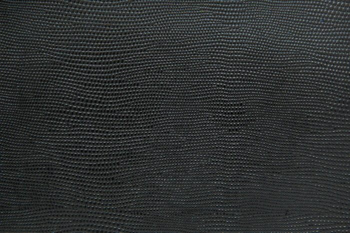 Iguana Archives - Whistler Leather