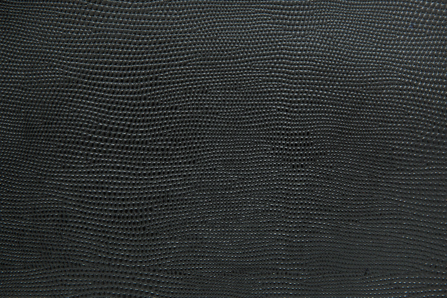 Iguana Archives - Whistler Leather